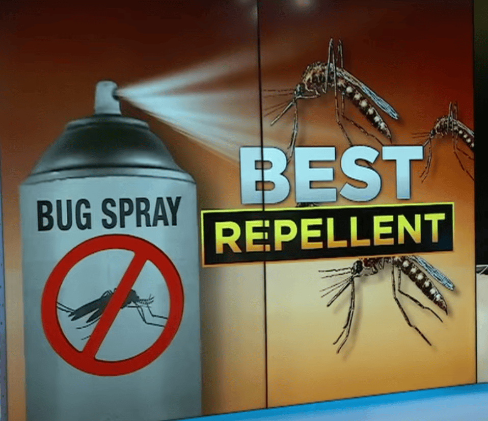 Bug-Free Sanctuary | Floating Castle