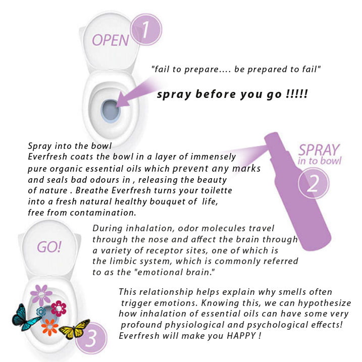 Original Original EverFresh Spray Before You Go Toilet Spray & Freshener